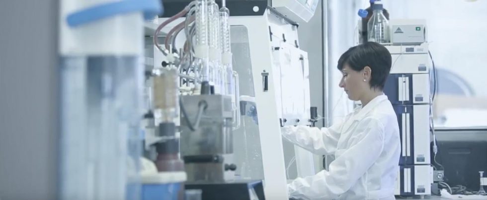 Home 2 | Nutriservice | Prodotti e servizi per l'allevamento di bovine ...